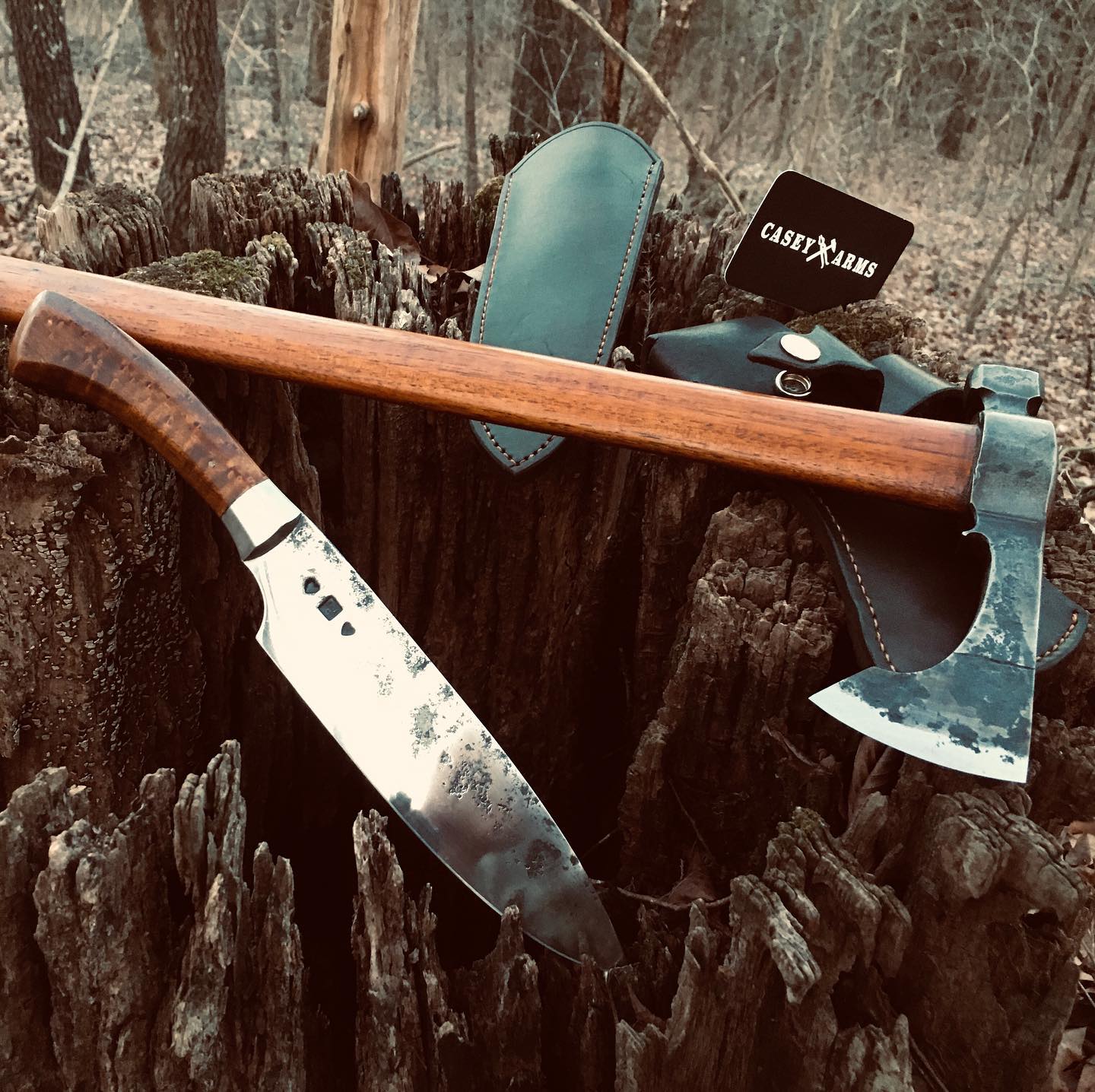 Gallery – Casey Arm