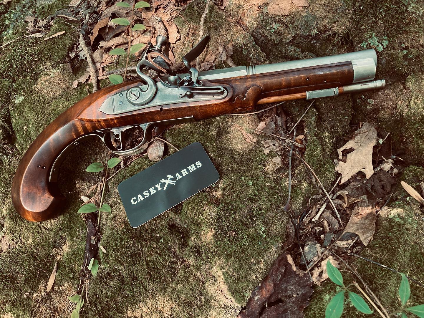 Gallery – Casey Arm