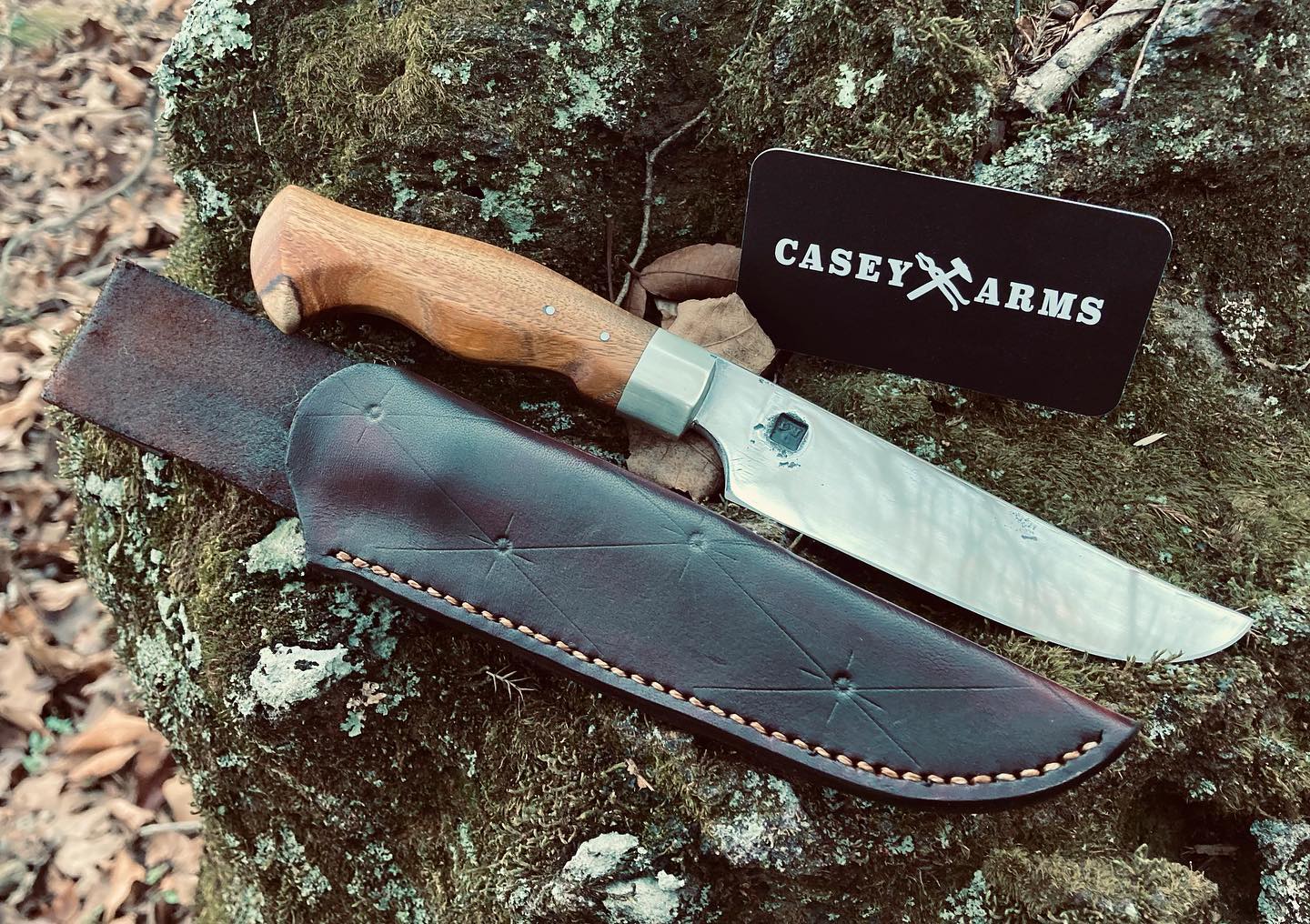 Gallery – Casey Arm