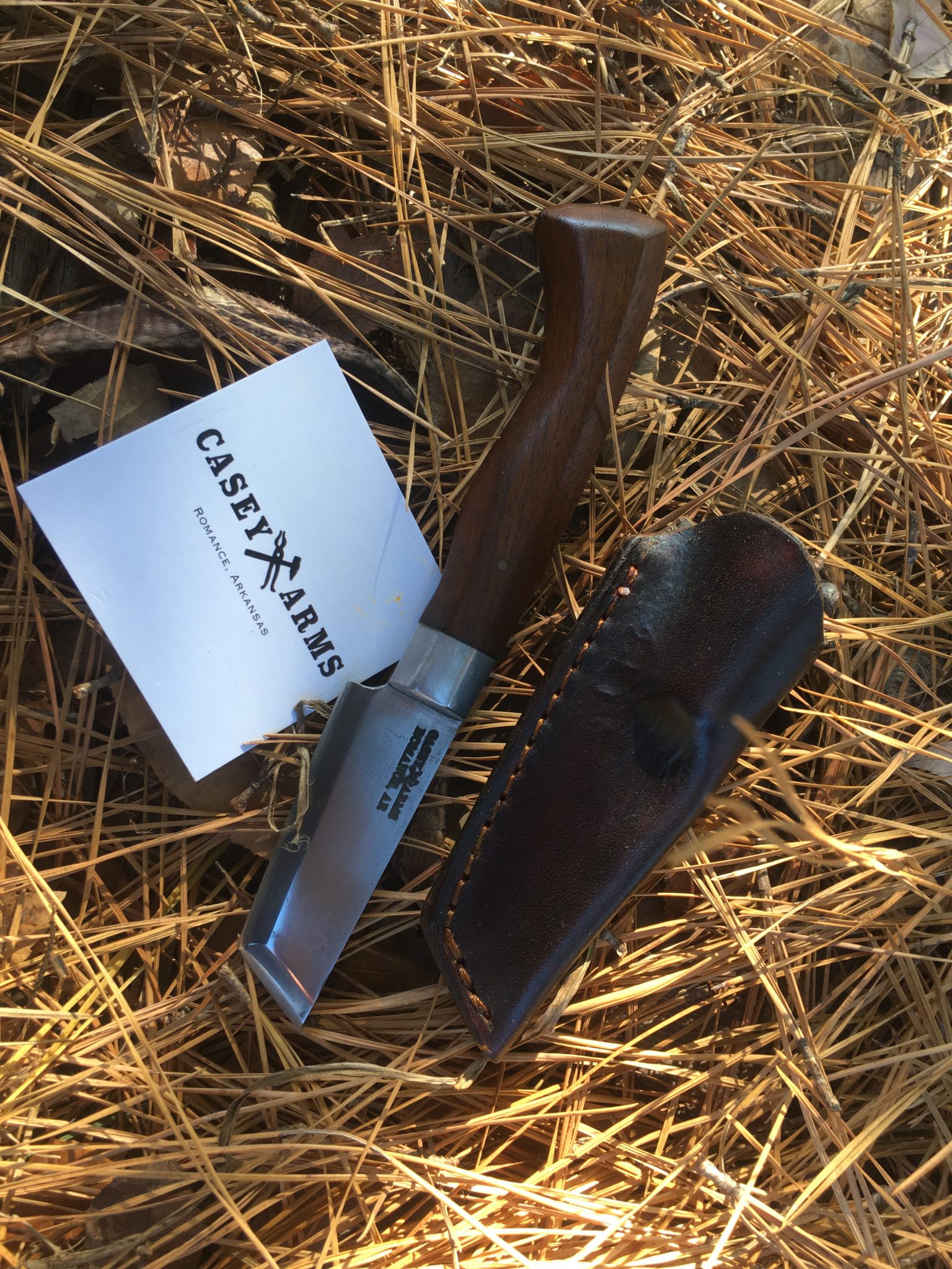 Gallery – Casey Arm