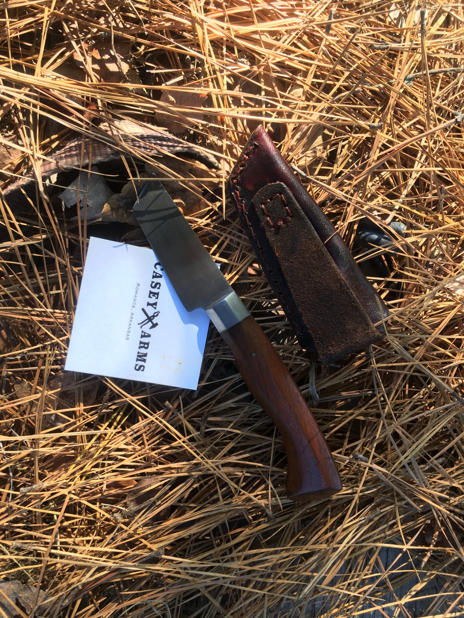 Gallery – Casey Arm